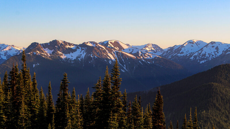 The Rise of Local Pot Shops: How They’re Changing the Cannabis Industry ...